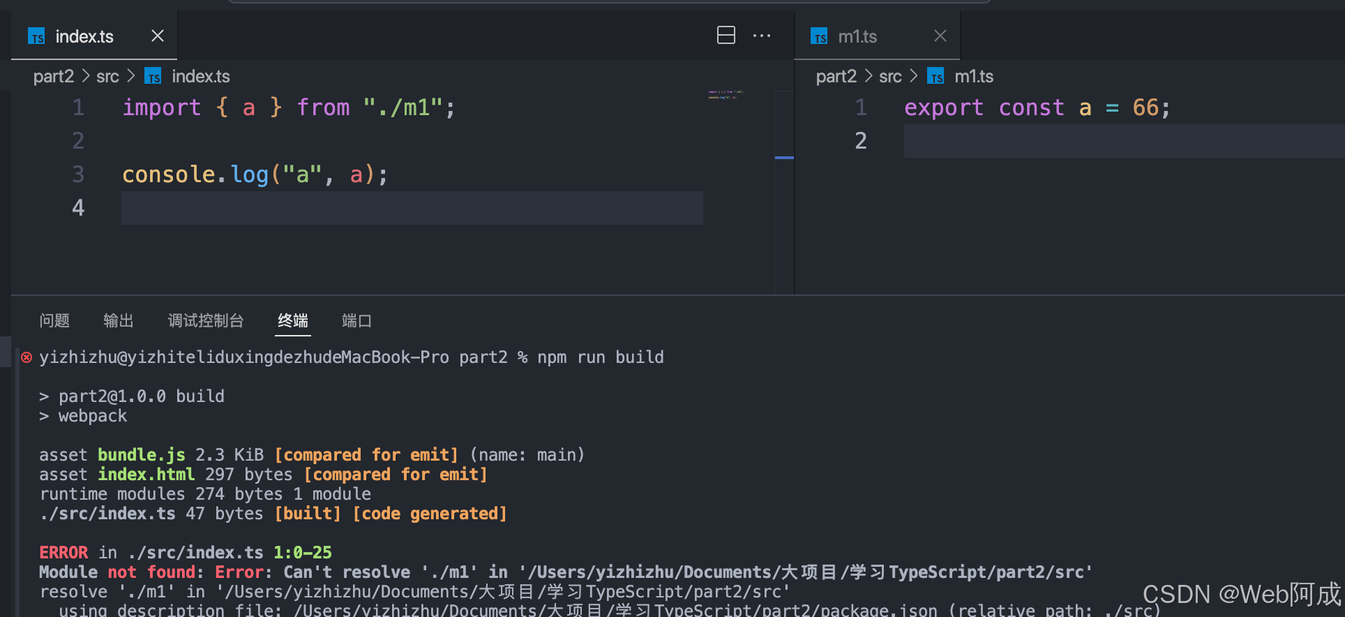4.学习webpack配置 完善ts代码打包配置_webpack中ts配置-CSDN博客