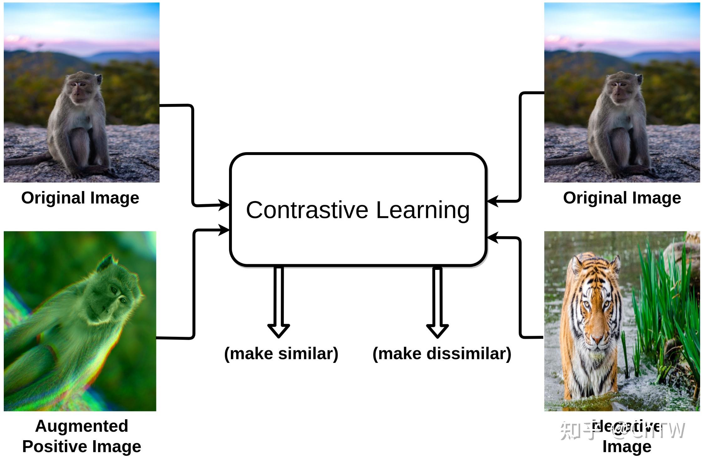 迁移学习还没整理好-CSDN博客