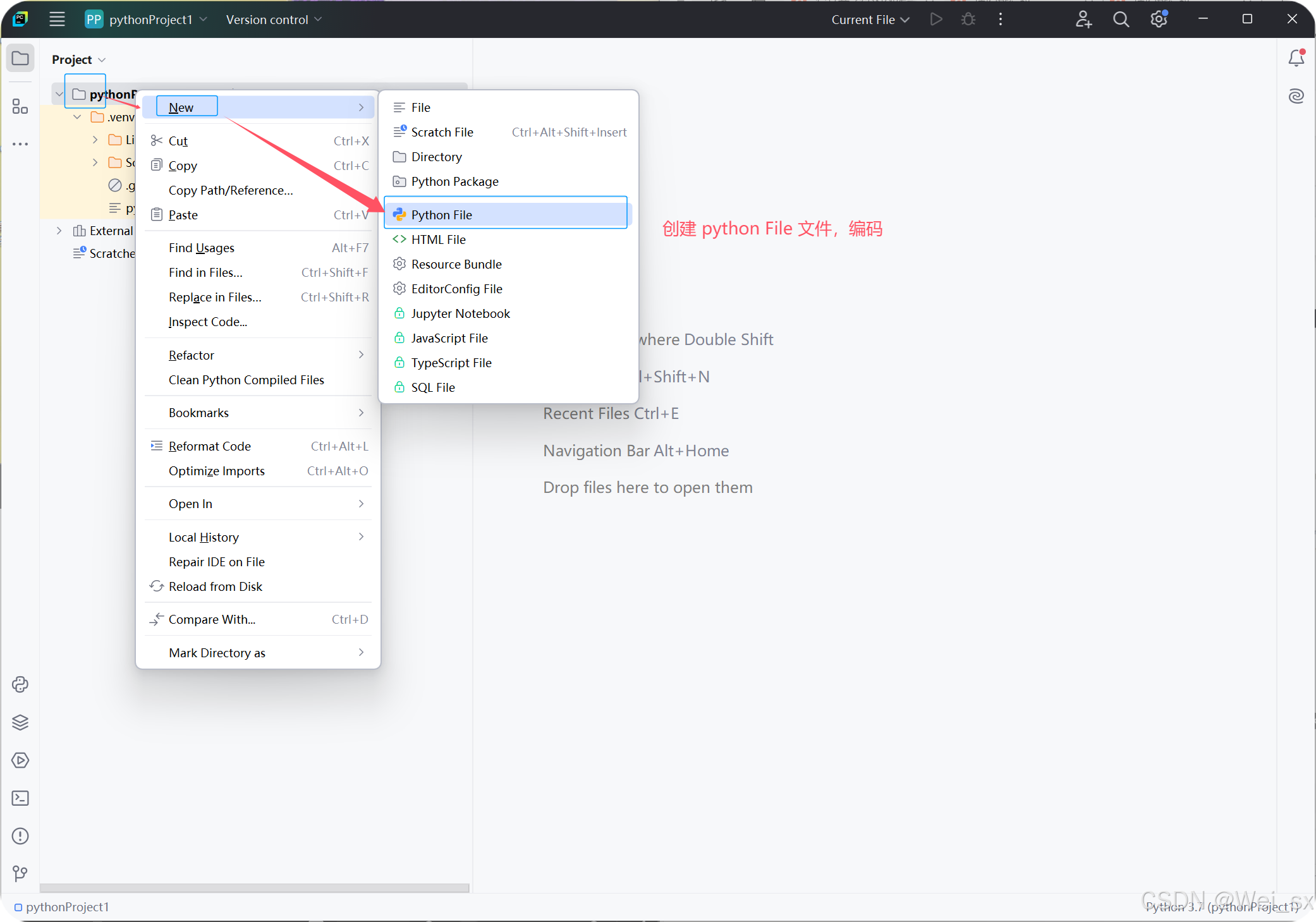 Python：Pycharm新项目创建_pycharm new project设置-CSDN博客