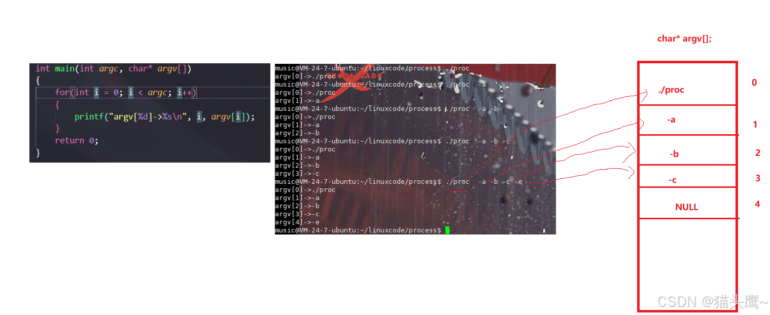 linux环境变量_linux ${user.home}-CSDN博客