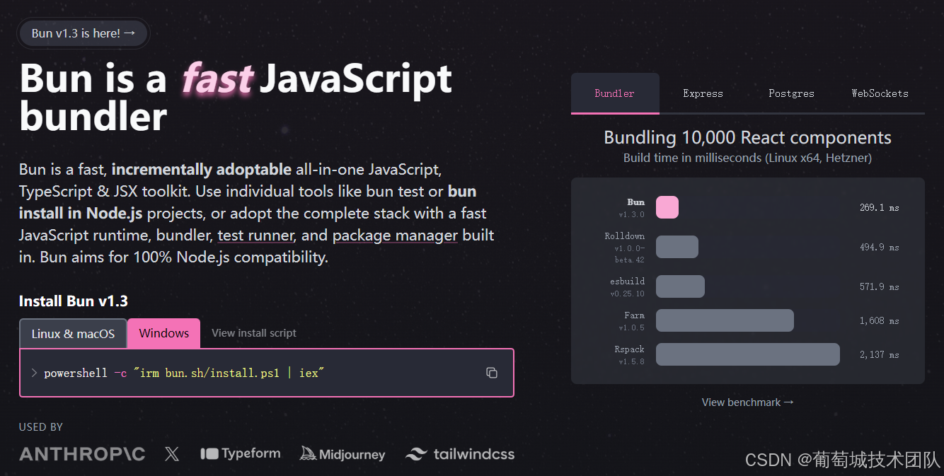 Bun v1.3 重磅发布：一站式全栈 JS 运行时，前端开发、数据库、Redis 全内置_bunjs-CSDN博客