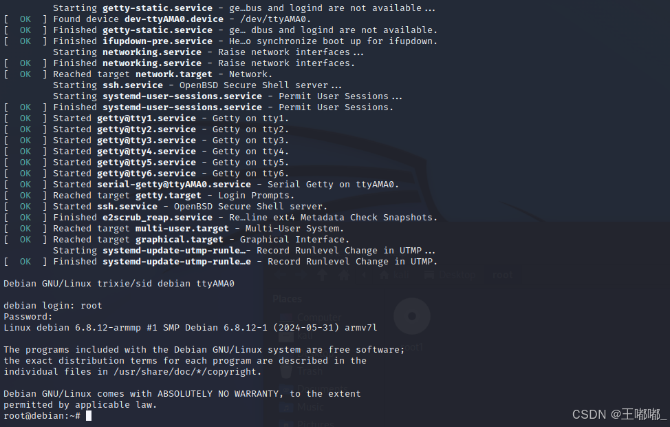 QEMU11安装以及启动arm Debian_qemu debian-CSDN博客