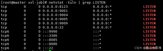 Linux环境下基于xxl-job调度Kettle任务实现定时ETL_kettle linux-CSDN博客