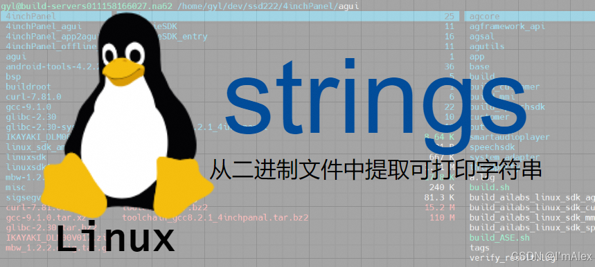 【Linux】strings命令：用于从二进制文件中提取可打印字符串。它可以提取和显示文件中的所有可打印字符串，常用于分析二进制文件、调试和逆向工程_strings 命令行-CSDN博客