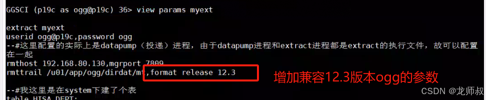 oracle19c通过ogg同步数据到oracle12c配置说明【测试记录版】_oracle的ogg同步-CSDN博客