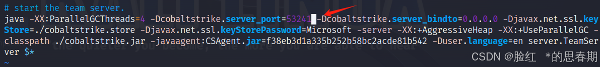 魔改CS—流量特征消除&暗桩去除&个性化修改&Stager修改_cs魔改-CSDN博客