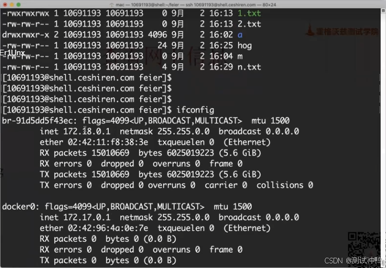 【可实战】Linux 常用命令之文件处理：ssh、ls、cd、pwd、mkdir、touch、rm、cp、mv、ln、find、cat、tail、tar、echo、＞、chmod ...
