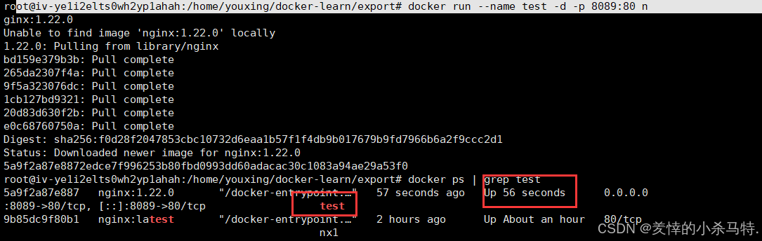 Docker容器操作流程超详细攻略！attach/detach模式怎么选？自动重启如何配置？等等等 一篇带你全吃透！_docker detach-CSDN博客