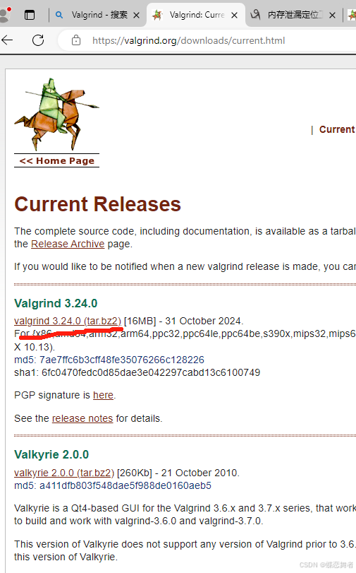 Valgrind Linux内存调试工具官网下载及使用_valgrind下载-CSDN博客