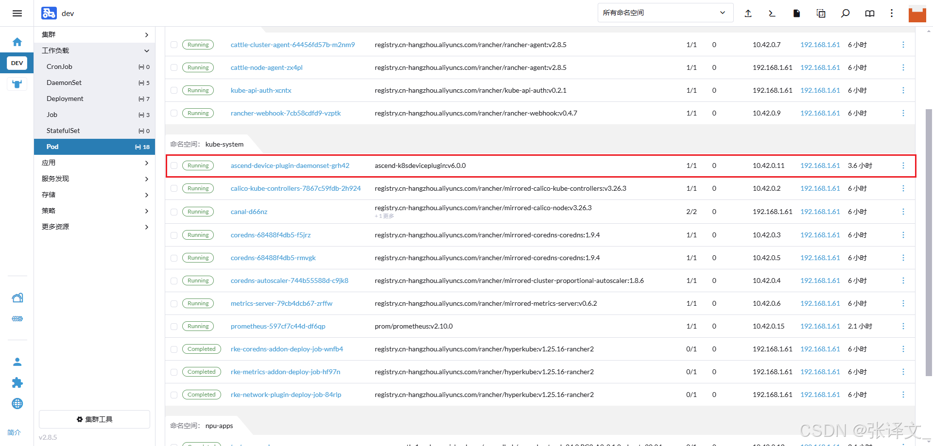 K8S接入昇腾NPU并分配到容器_ascend device plugin-CSDN博客