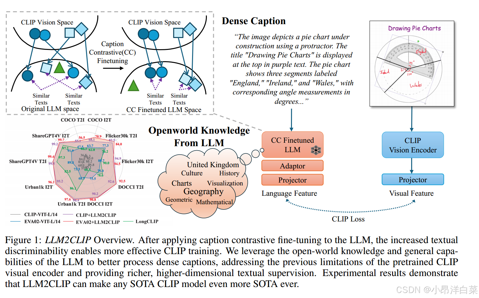 LLM2CLIP：POWERFUL LANGUAGE MODEL UNLOCKRICHER VISUAL REPRESENTATION-CSDN博客