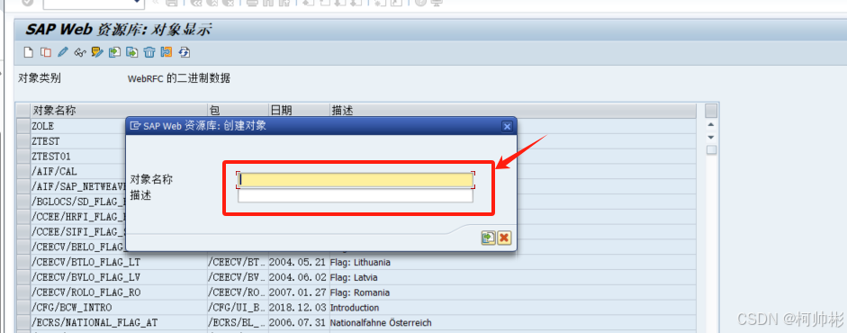 如何上传到一个模版文件到SAP中_sap smw0-CSDN博客