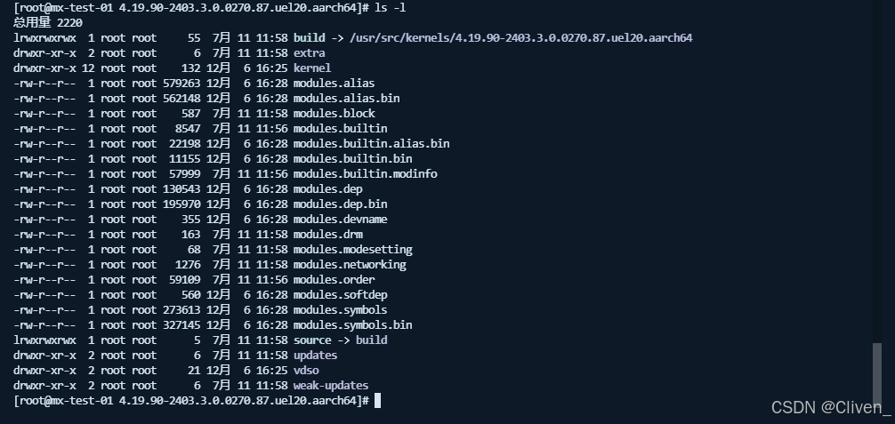 Linux驱动构建环境 内核树_uel20.aarch64-CSDN博客