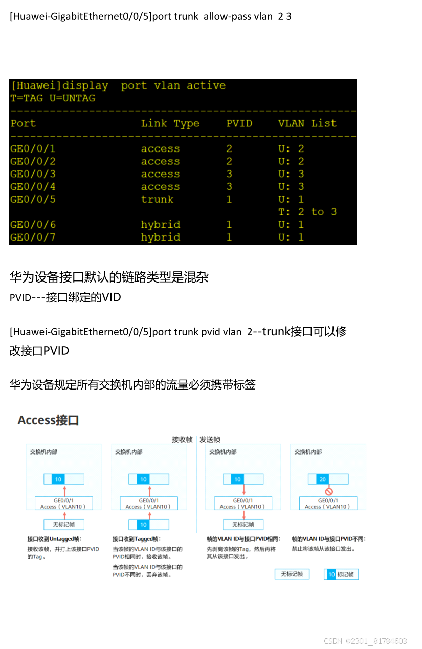 HCIP第一次作业-CSDN博客