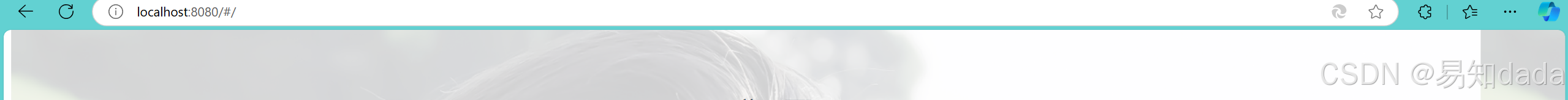 解决vue各类标签顶部留白问题_margin属性导致的留白-CSDN博客