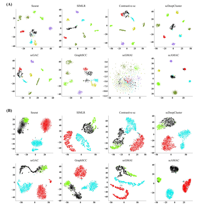 多尺度注意力：Nature中科院一区？还不是手到擒来！！-CSDN博客