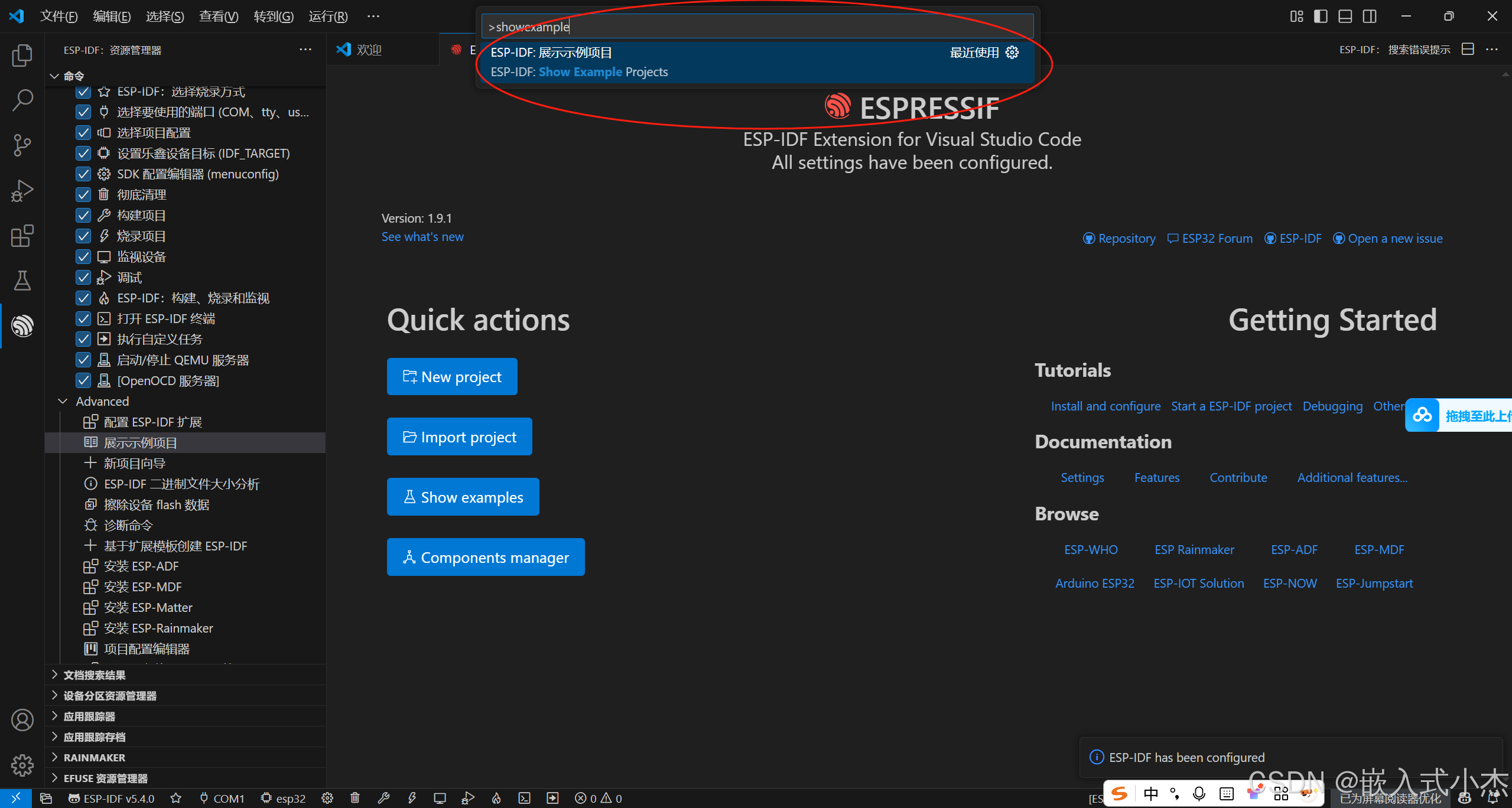 【ESP32环境搭建】基于VScode + ESP-IDF（100%成功，装不好可以评论区私我）_vscode esp-idf-CSDN博客