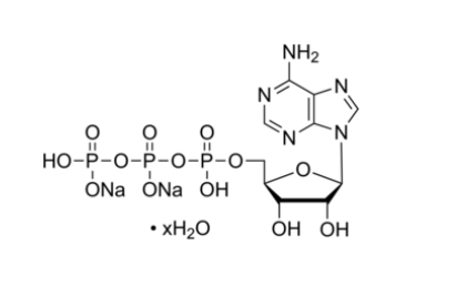 cas：34369-07-8，Adenosine 5′-triphosphate disodium salt hydrate，ATP，腺苷-5‘-三磷酸二钠盐,(无钙)_atp-钠盐的相对原子 ...
