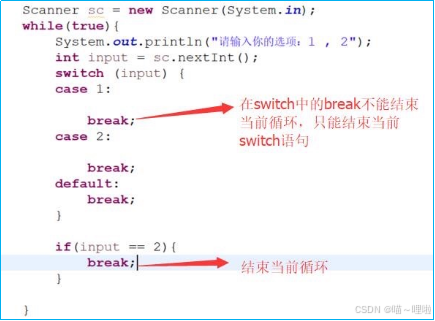 循环for、while-CSDN博客