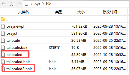 极四增padavan固件升级tailscale的方法_padavan tailscale-CSDN博客