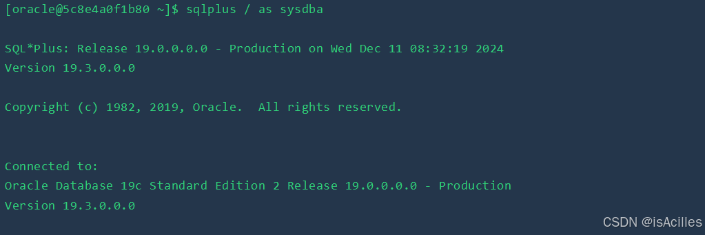 Docker容器内安装Oracle19c_docker oracle 19c-CSDN博客