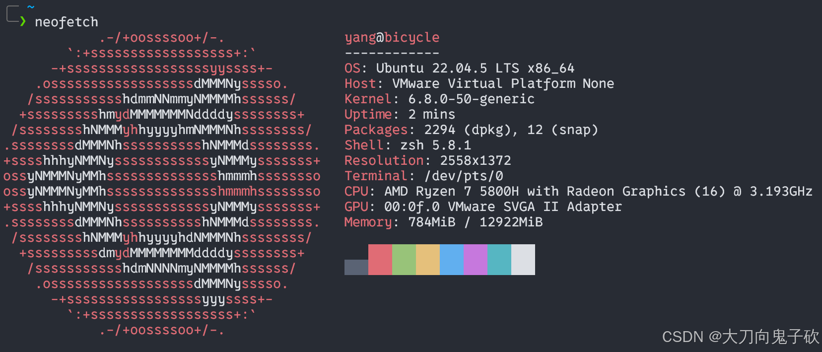 在Linux下搭建Nvim+Tmux的高效终端-CSDN博客