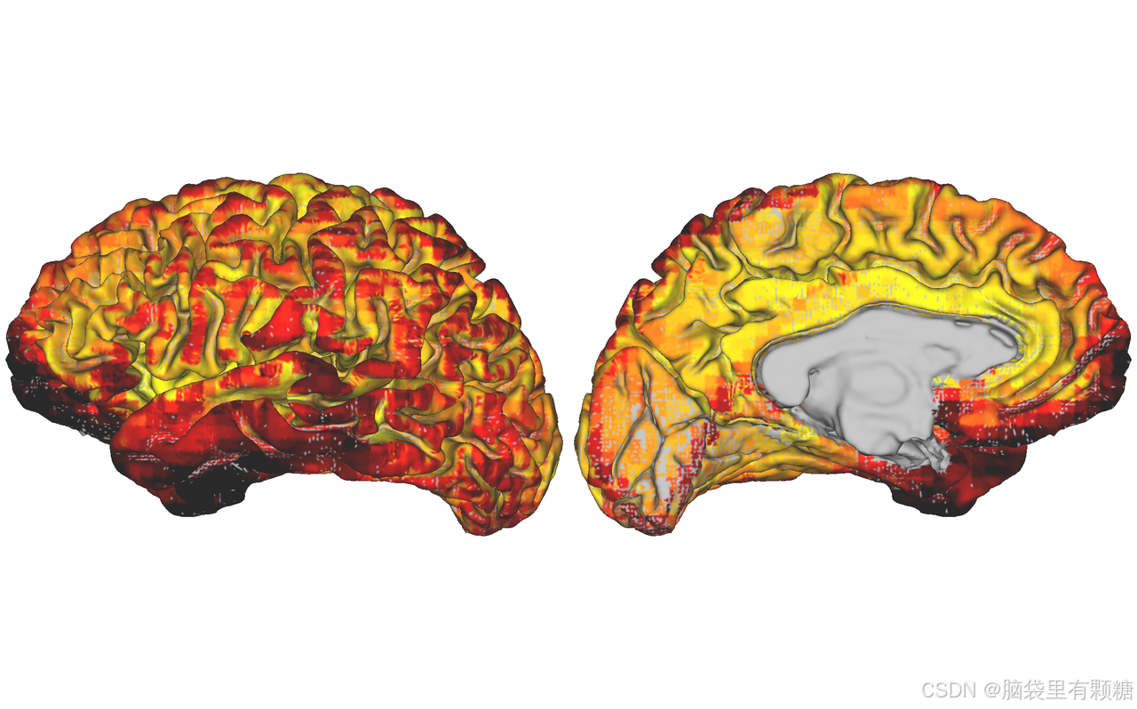 关于fMRIPrep的CIFTI-CSDN博客