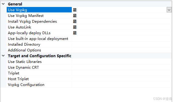 如何将vcpkg集成到vs并有效配置（保姆级（大概））_vcpkg使用教程-CSDN博客