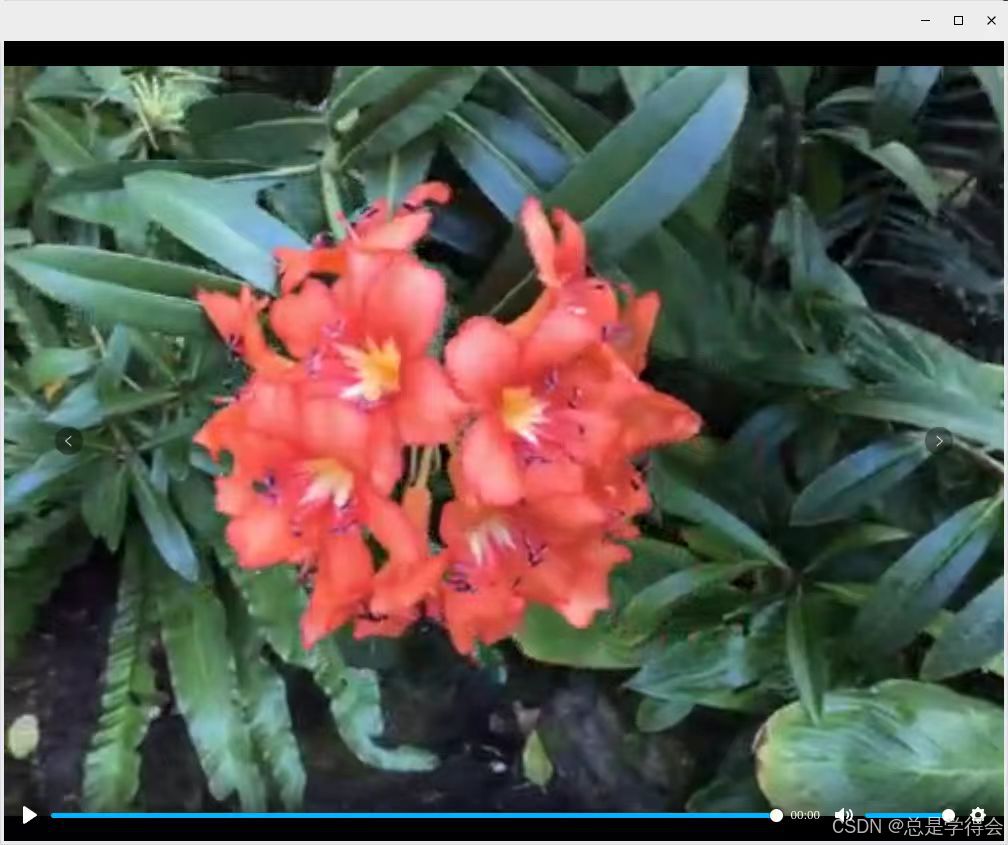 NeRF原理 （神经辐射场）-CSDN博客