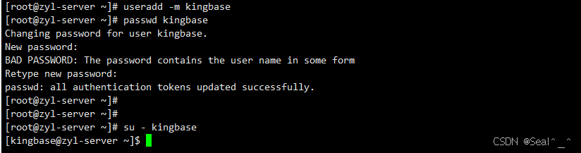 Linux系统命令行安装 KingbaseES V9详细步骤_linux安装kingbase-CSDN博客