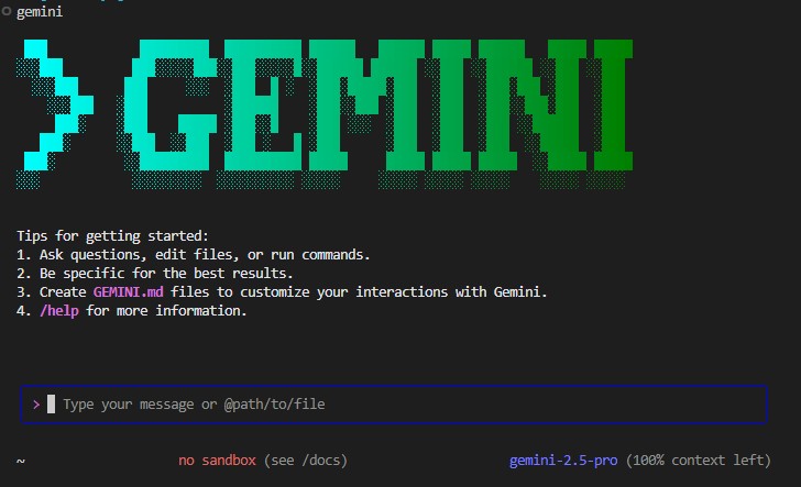新鲜出炉，手把手教你使用 Gemini CLI_gmini cli-CSDN博客