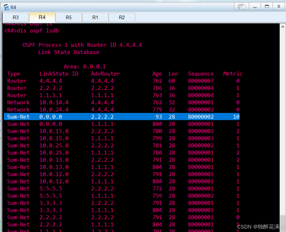 stub区域 Totally Stub 区域_stub no-summary-CSDN博客