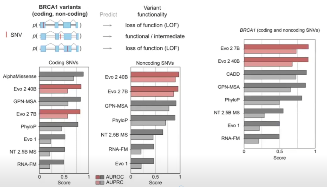 Evo2 论文讲解_基因 模型 evo2-CSDN博客