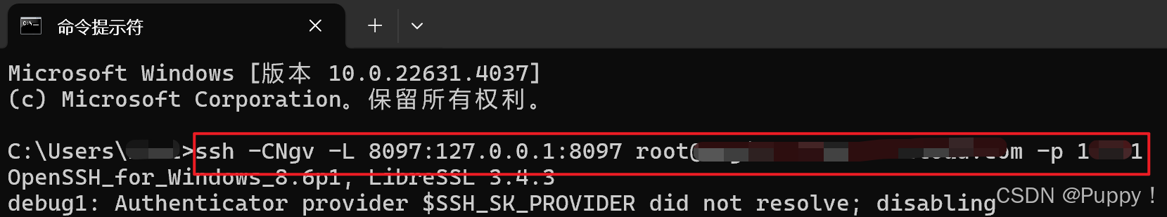 Autodl之Visdom本地http://localhost:8097拒绝接入_autodl localhost-CSDN博客