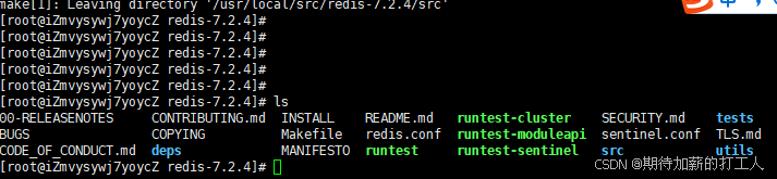 centos8系统安装redis数据库配置及注意事项_centos8安装redis-CSDN博客