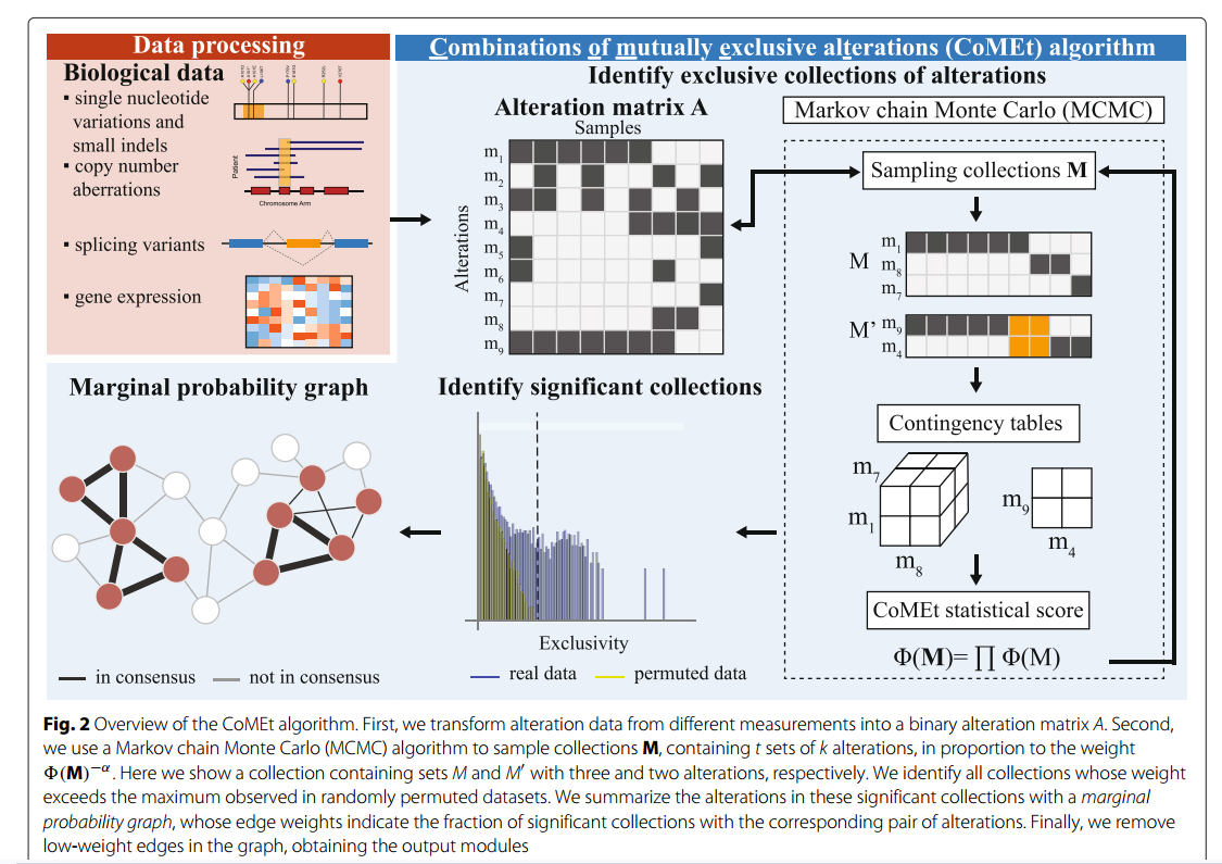 CoMEt: a statistical approach to identifycombinations of mutually exclusive alterationsin cancer ...