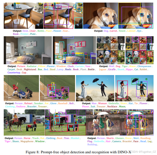 DINO-X:A Unified Vision Model forOpen-World Object Detection and Understanding_面向开放世界目标检测与理解的统一 ...