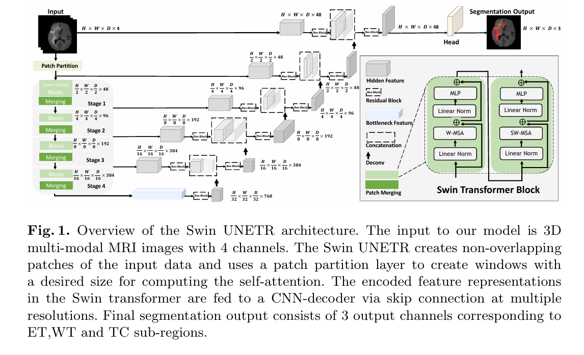 【SwinUNETR】《Swin UNETR: Swin Transformers for Semantic Segmentation of ...