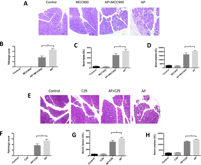 AbMole丨综述：免疫调控的关键靶点--Toll样受体（TLR），及其常用抑制剂/激动剂全解析-CSDN博客