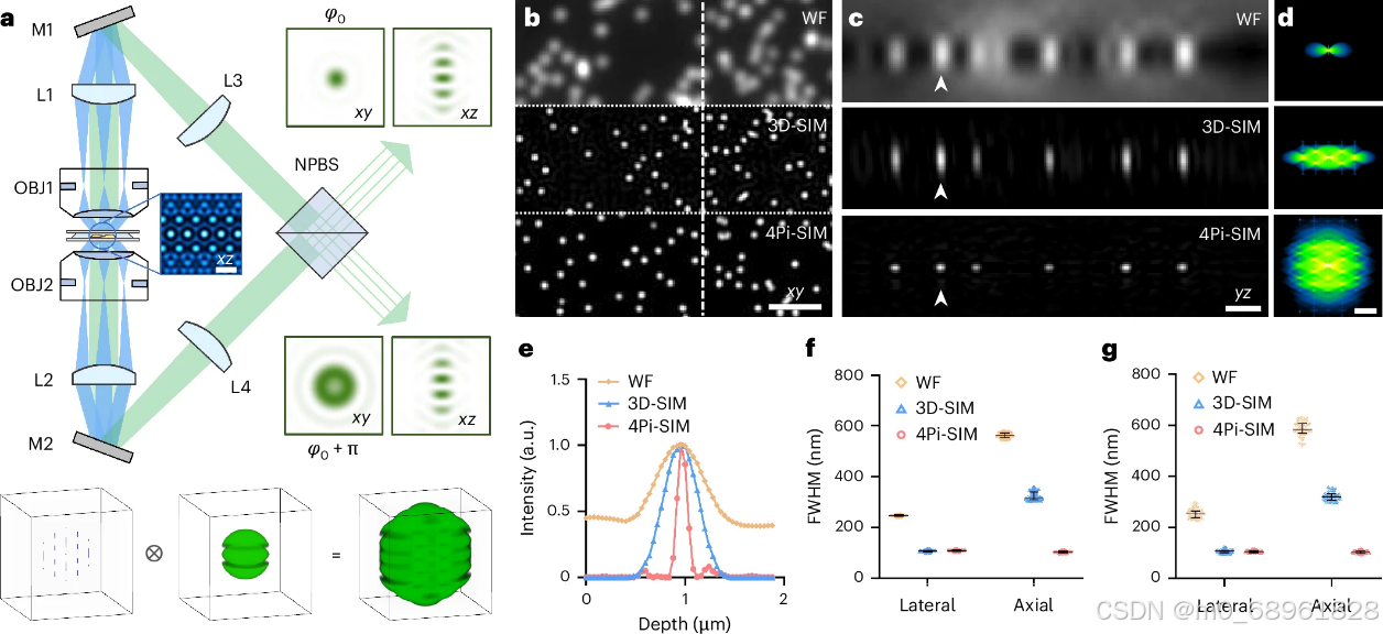 细胞成像的超级“放大镜”——4Pi-SIM_3d-sim ppt-CSDN博客