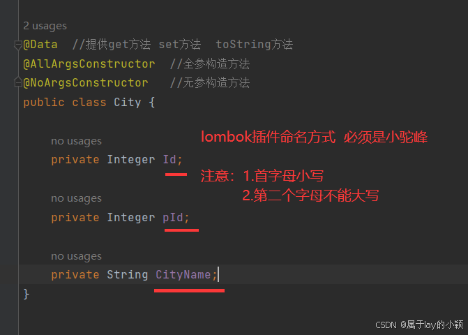idea如何使用Lombok_idea lombok-CSDN博客