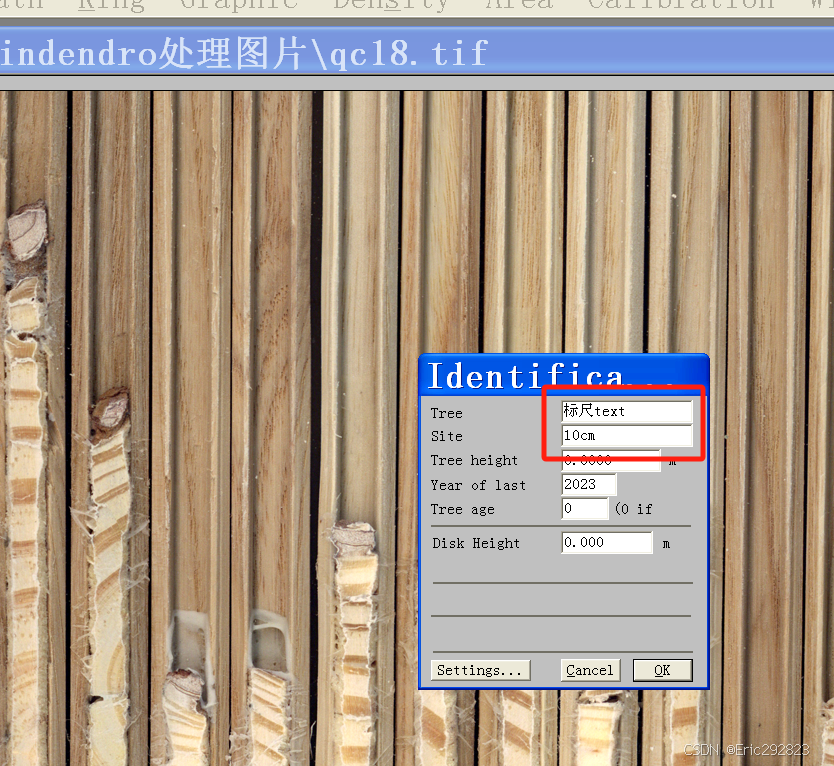 windendro 2005版本安装包与基础操作—中文教学-CSDN博客