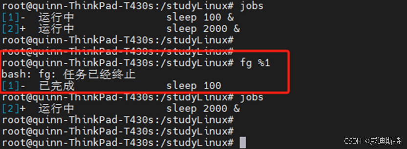 Linux命令：用于将后台运行的作业（进程）带到前台执行的命令fg详解_linux fg命令-CSDN博客