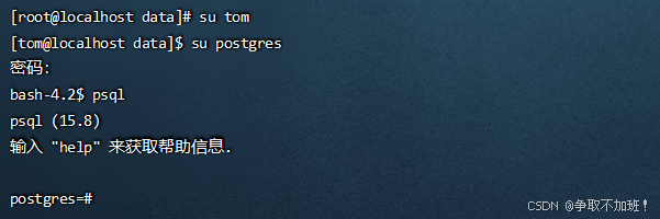 yum安装postgresql_yum postgresql-CSDN博客