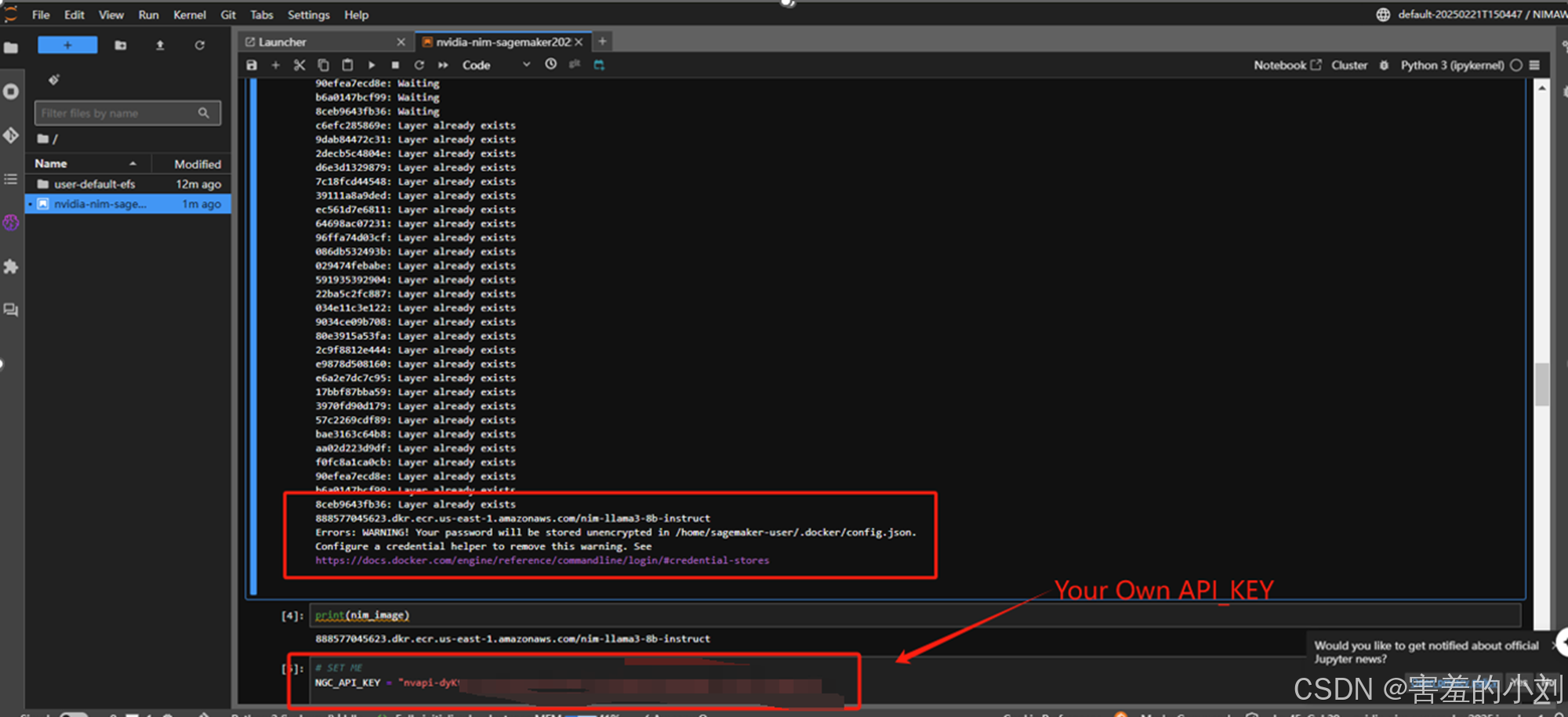 [11th Hackathon] When AWS meets NVIDIA-NIM: Try Your First Chat Robot!-CSDN博客