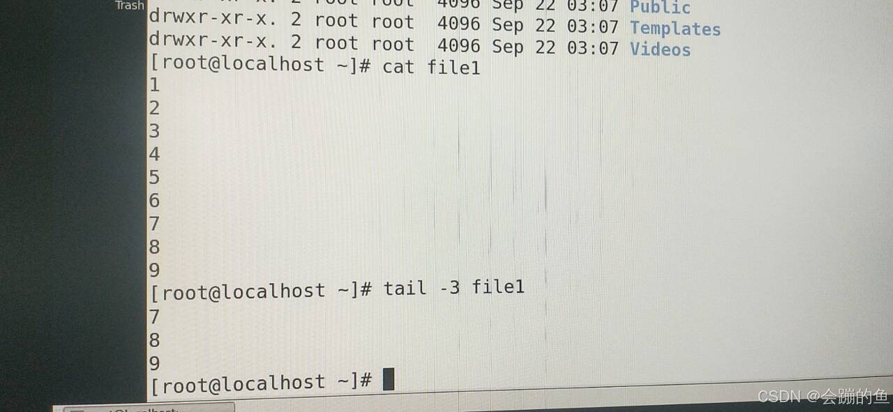 Linux实验day03 文件读取命令cat、tac、more、less、head和tail的常规使用方法和常见选项、grep查找文件内容