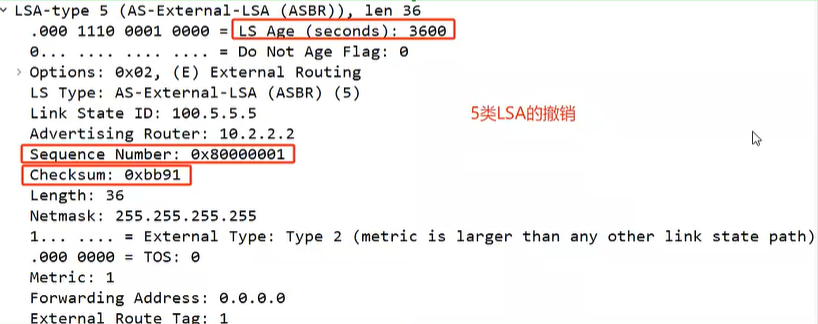 OSPF5类LSA-CSDN博客