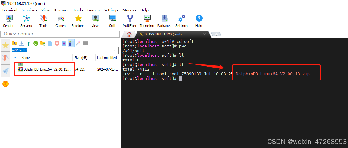 DolphinDB安装部署手册-CSDN博客