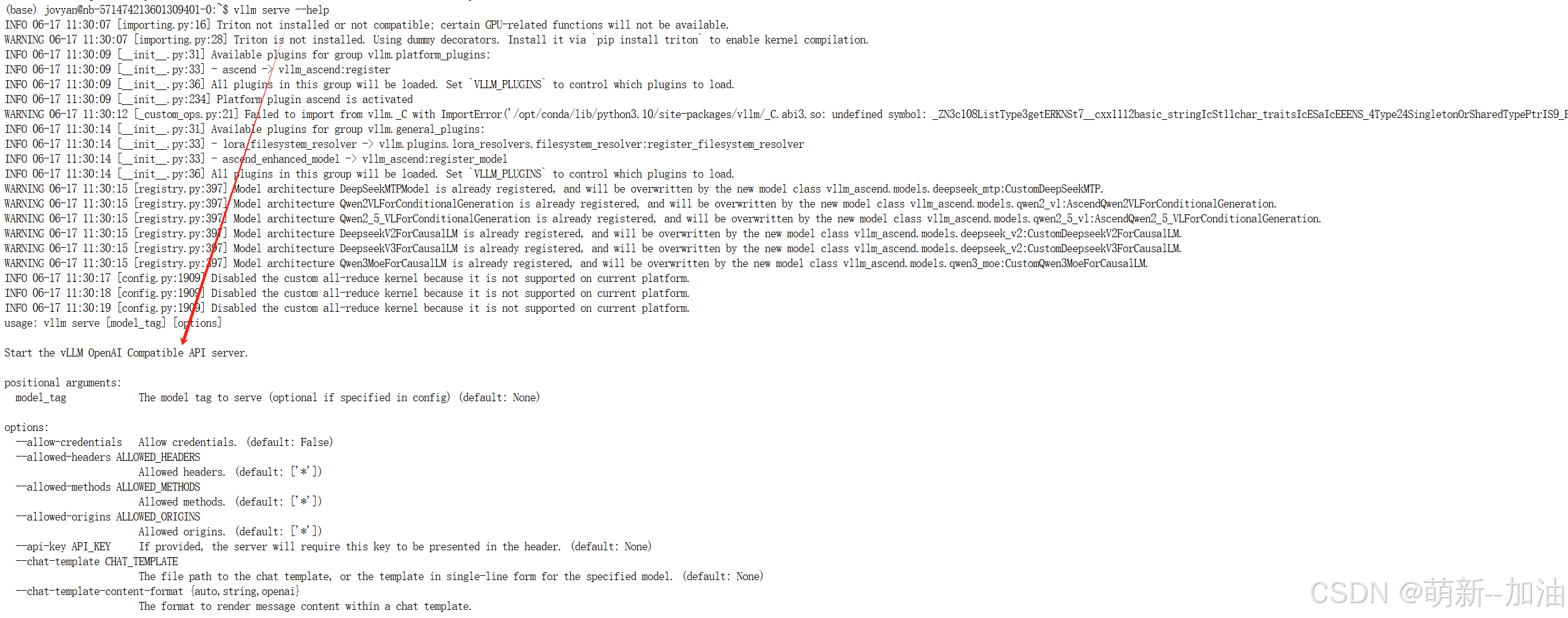 基于昇腾910B部署Qwen3-embedding-8B模型（通过vllm 推理引擎部署）-CSDN博客