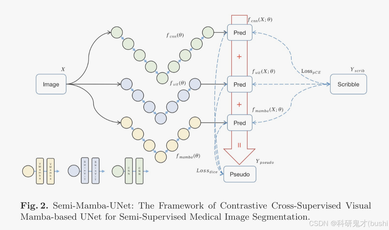 Weak-Mamba-UNet 论文学习笔记-CSDN博客